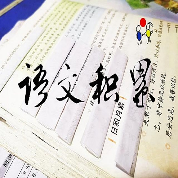六下期末复习:高频考点、知识点整理